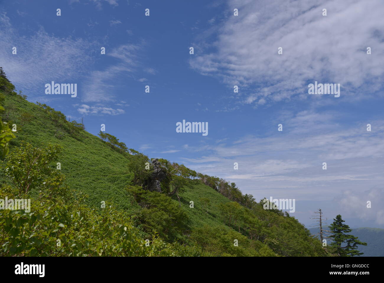 Aouzou hi-res stock photography and images - Alamy