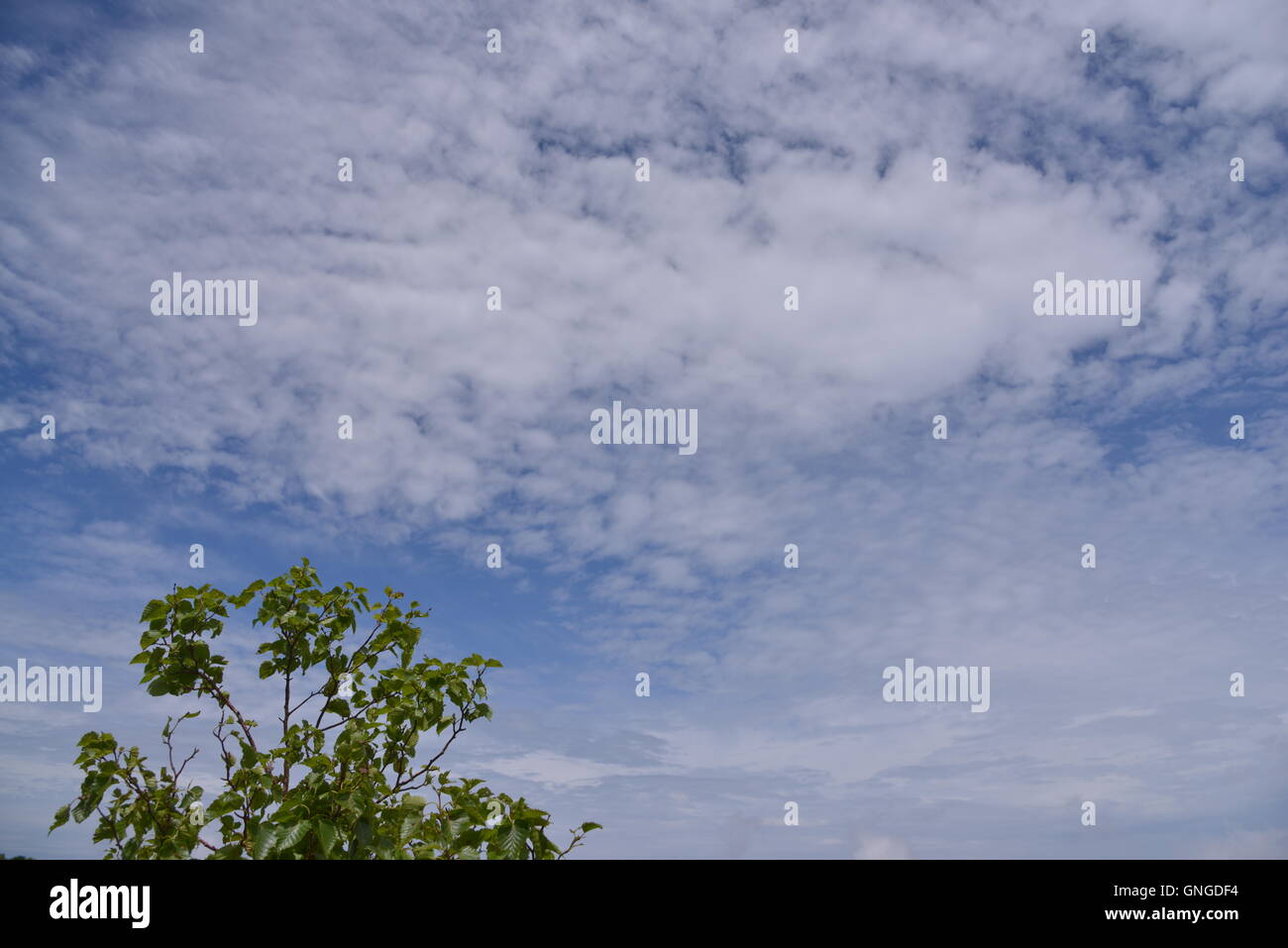 Aouzou hi-res stock photography and images - Alamy