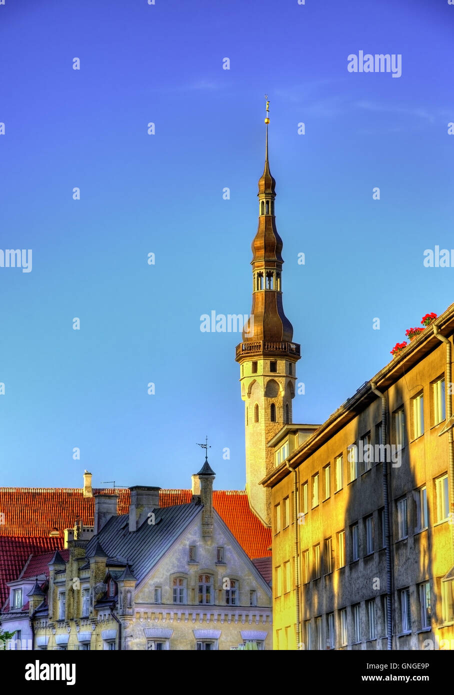 Buildings in the historic centre of Tallinn, Estonia Stock Photo - Alamy