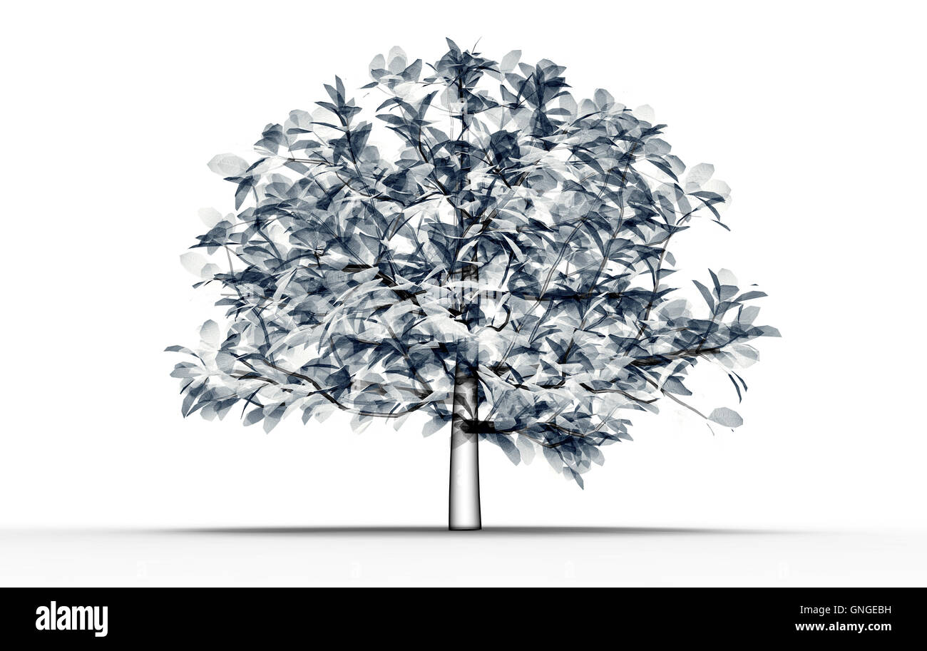 Roent Cut Out Stock Images & Pictures - Alamy