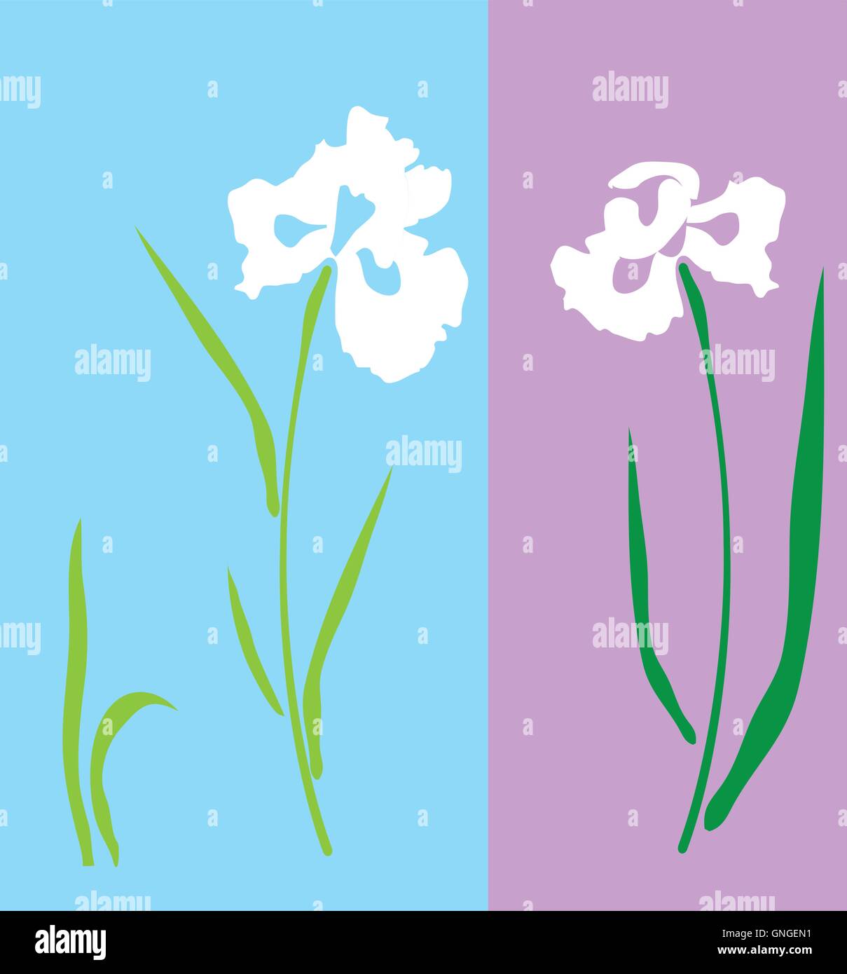 vector iris flower Stock Vector Image & Art - Alamy
