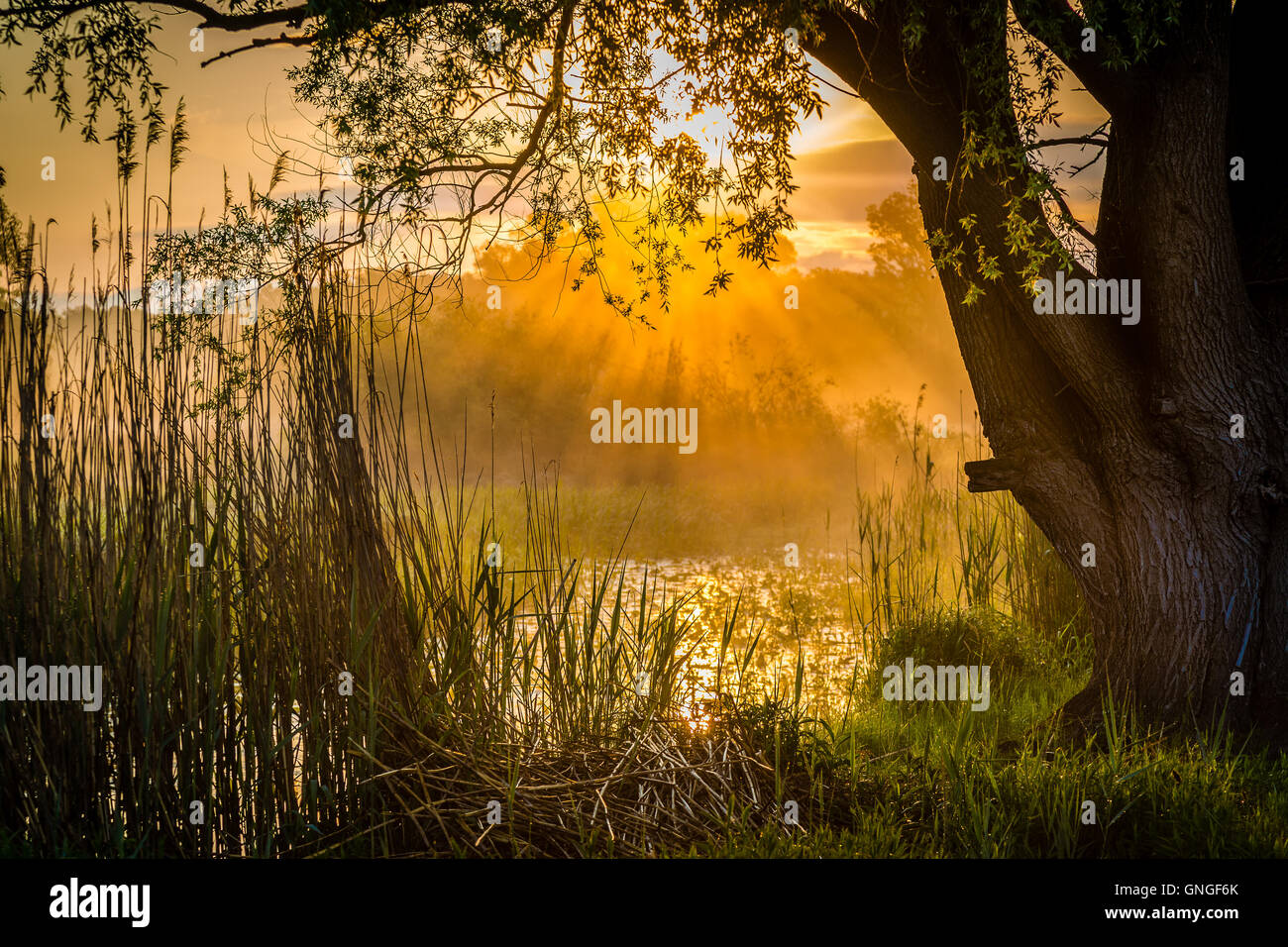 River morava hi-res stock photography and images - Alamy