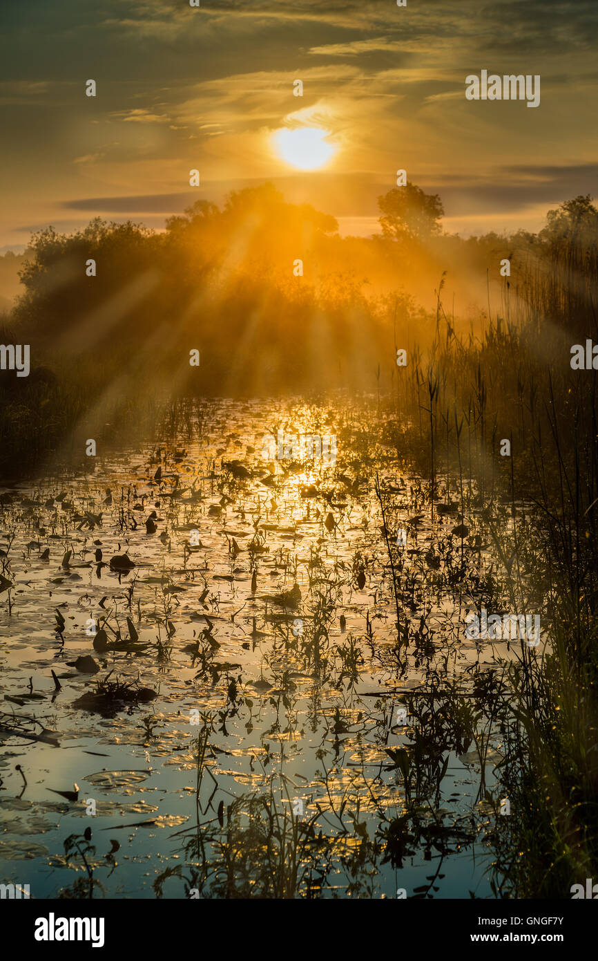 Catchment area hi-res stock photography and images - Alamy