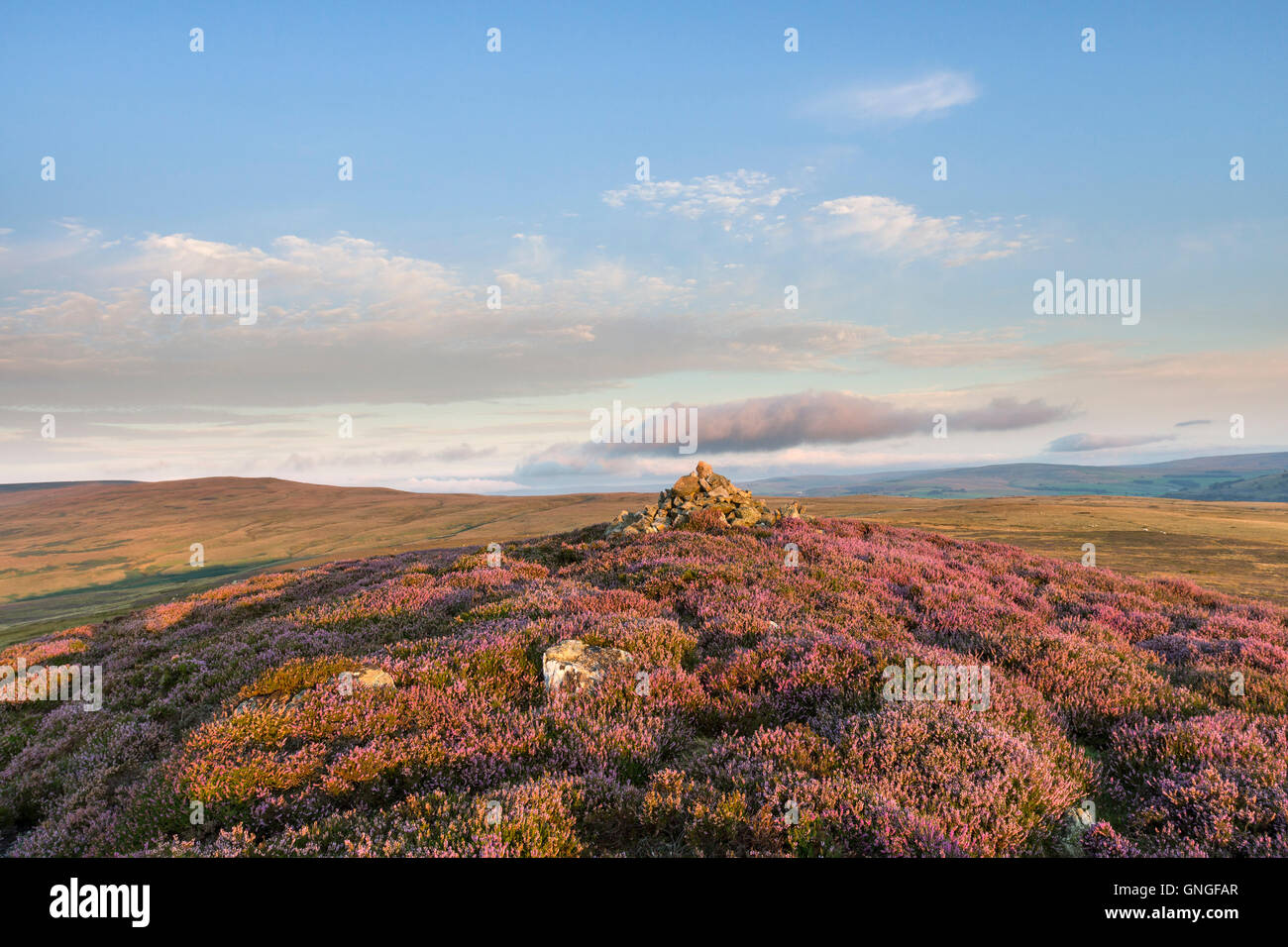Weardale And Pennines High Resolution Stock Photography and Images - Alamy
