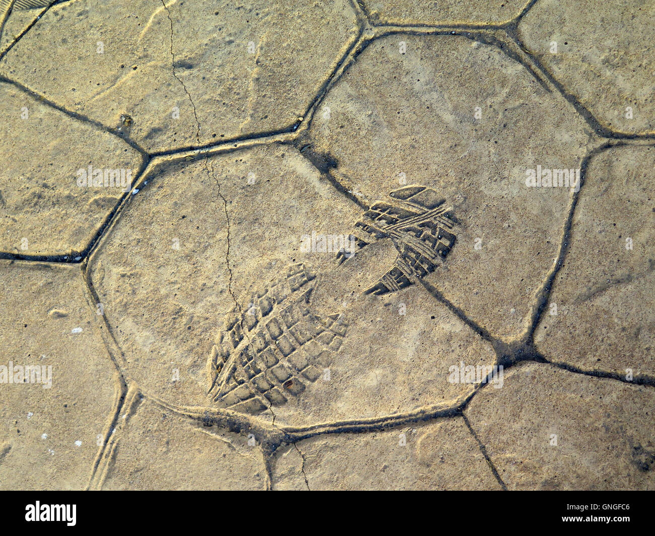 Footprint on newly laid concrete pavement Stock Photo - Alamy