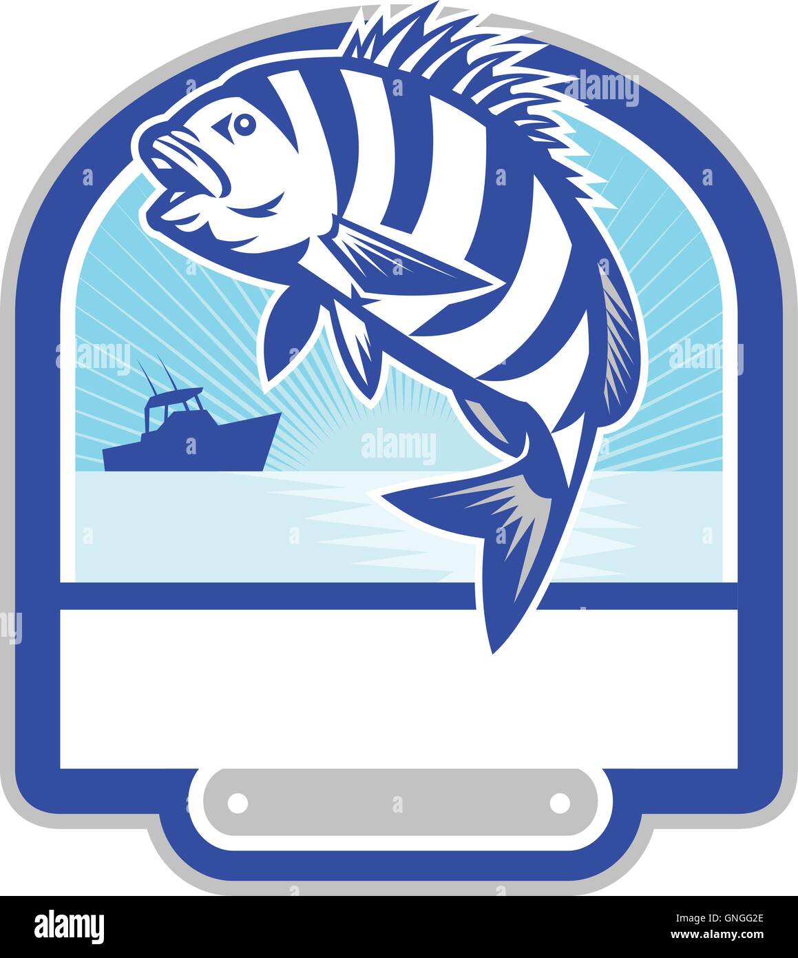 Sheepshead fish hi-res stock photography and images - Alamy