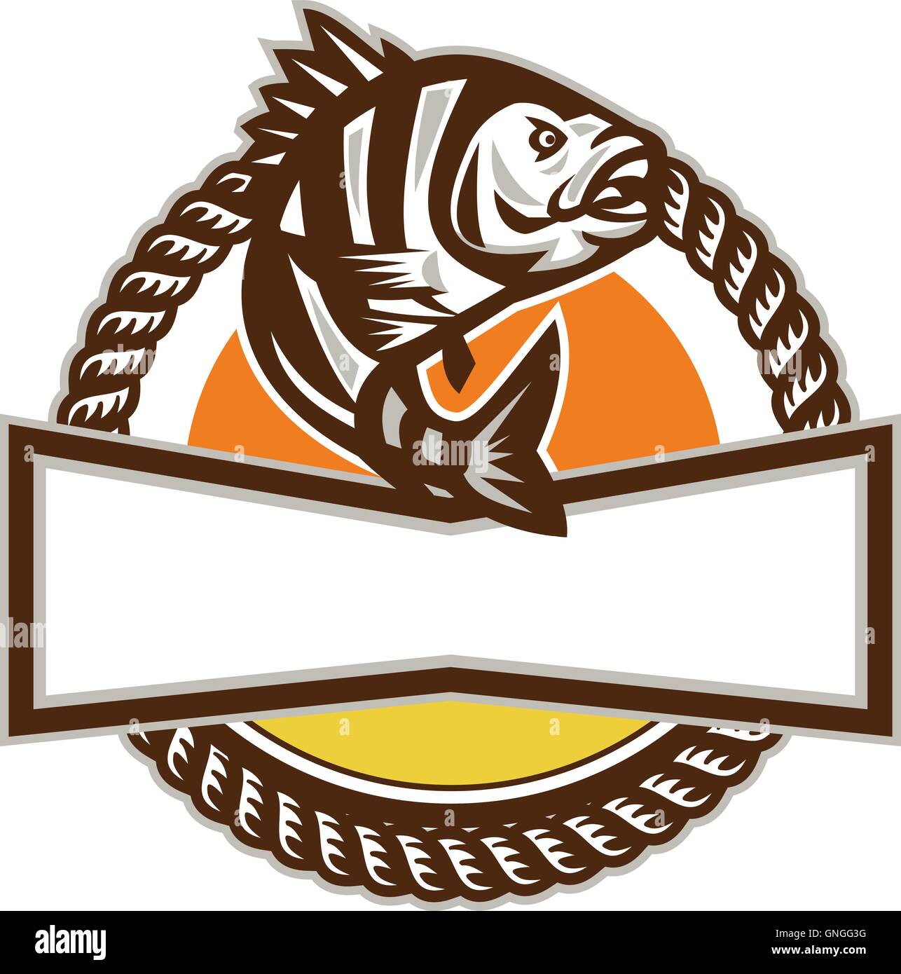 Sheepshead fish hi-res stock photography and images - Alamy