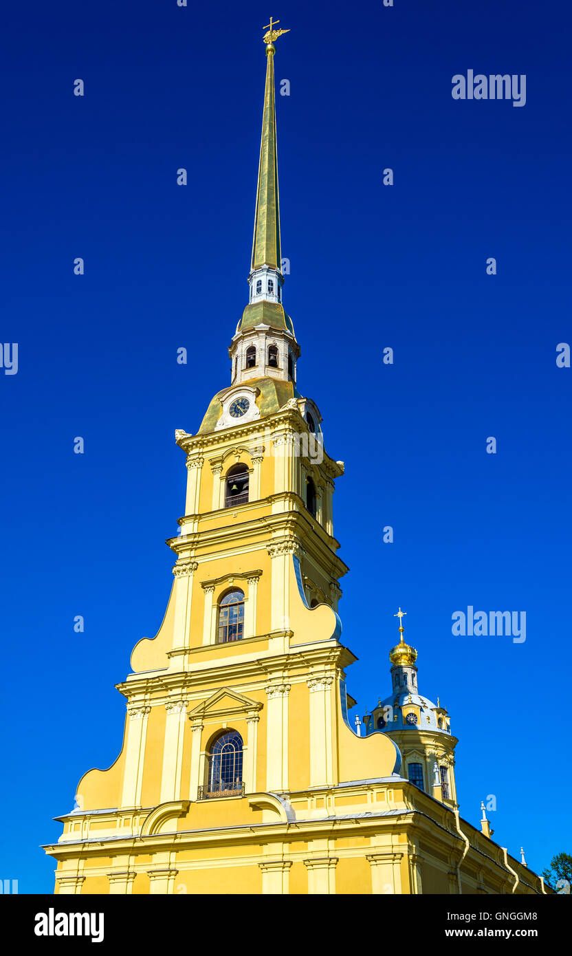 The Peter and Paul Cathedral in Saint Petersburg Stock Photo - Alamy