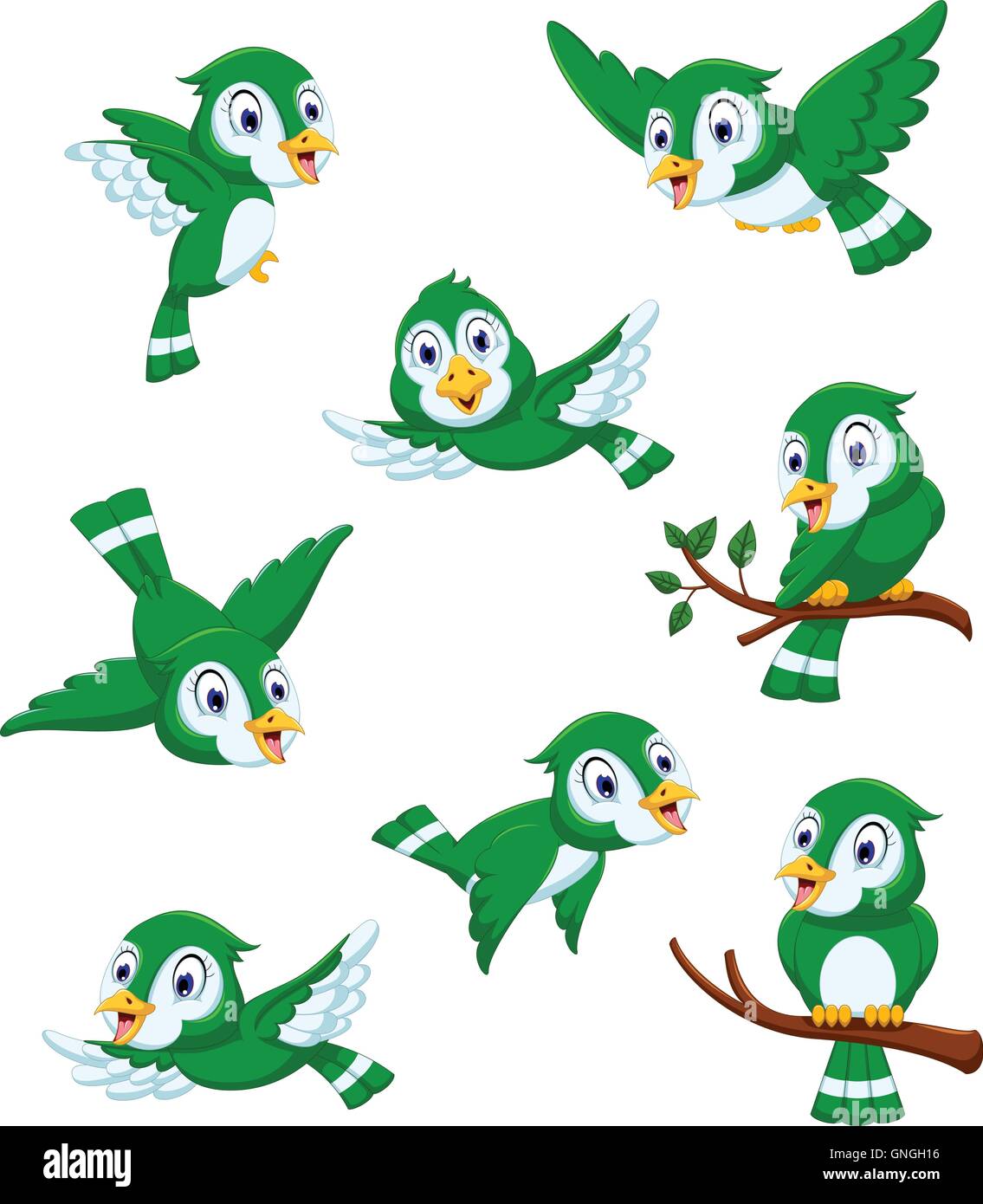 Fluffy bluebird hi-res stock photography and images - Alamy