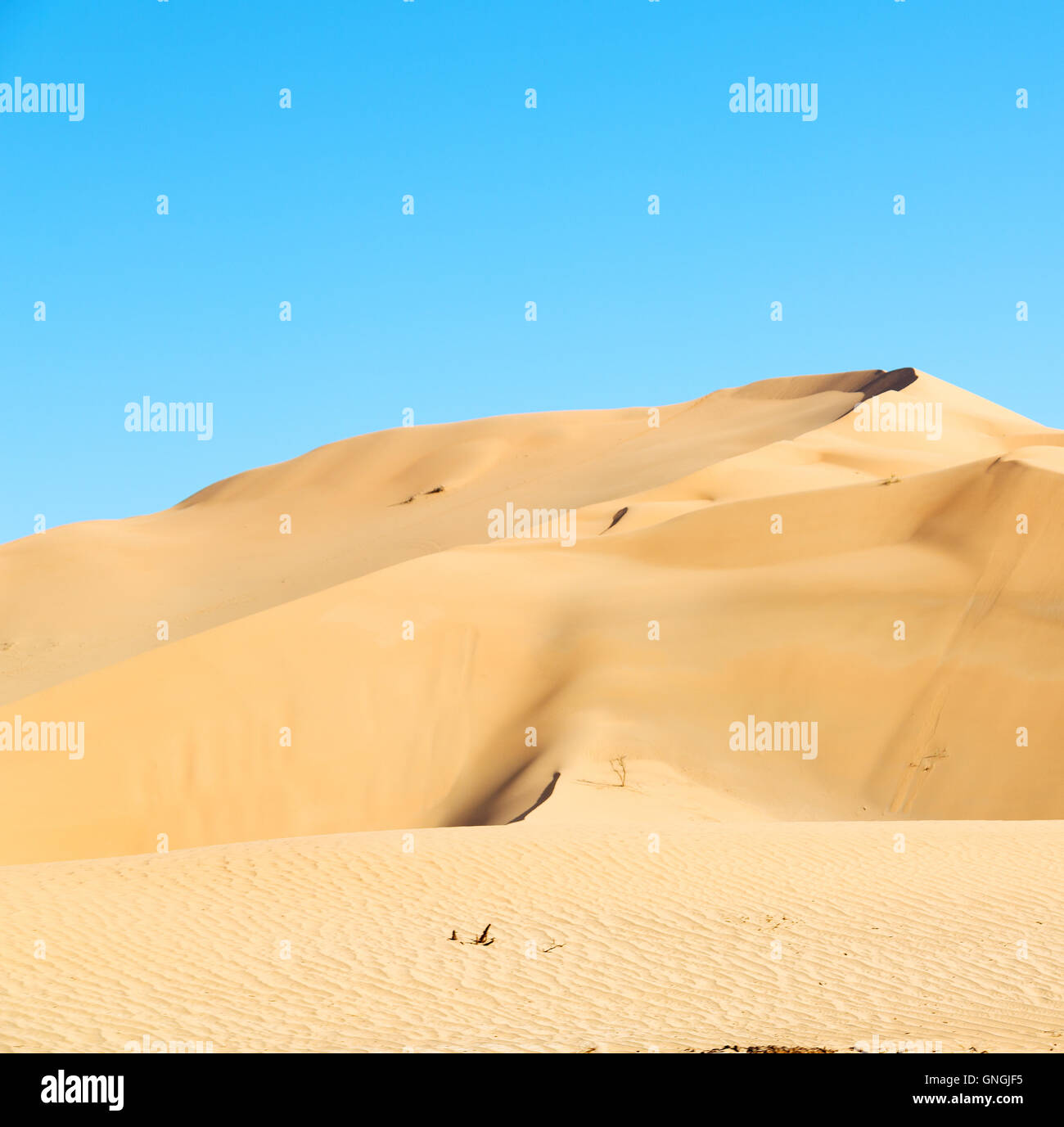 the empty quarter and outdoor sand dune in oman old desert rub al khali ...