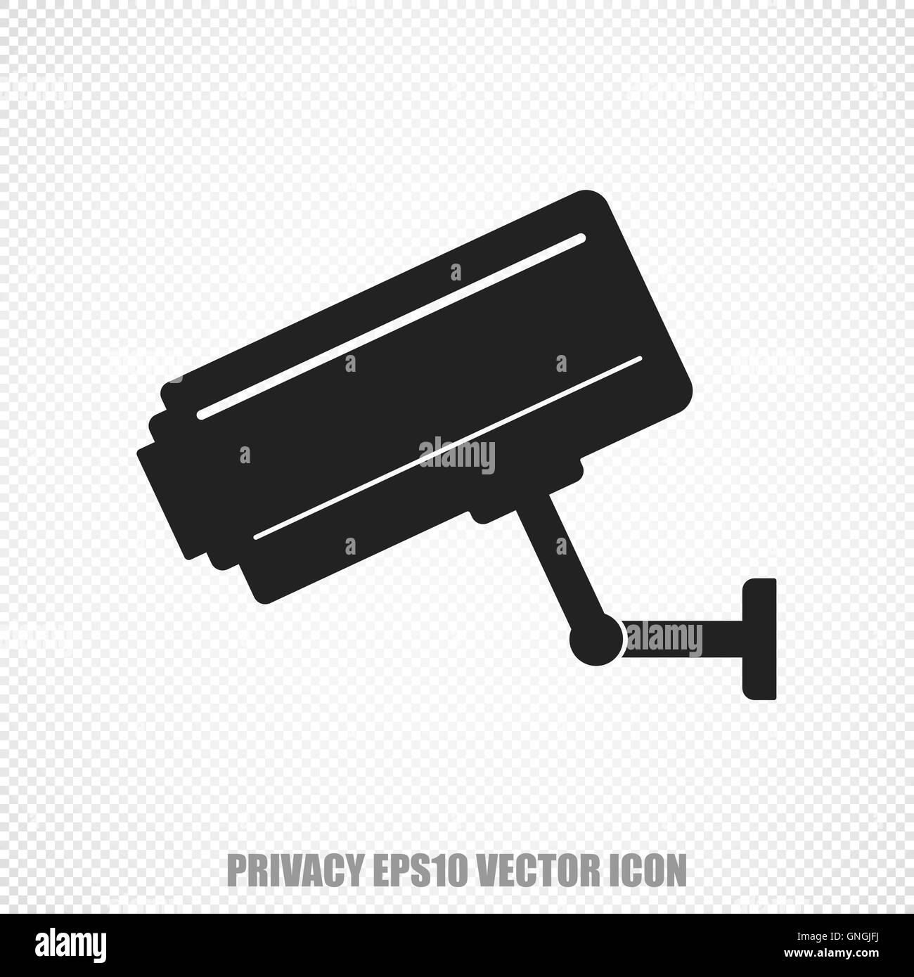Privacy vector Cctv Camera icon. Modern flat design Stock Vector Image ...