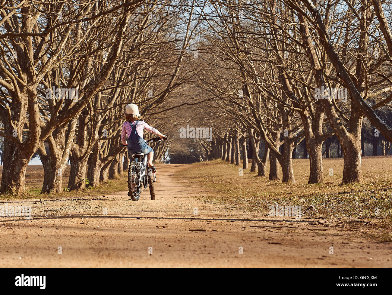 Young girl riding her bicycle bike down dirt road tree lined avenue ...