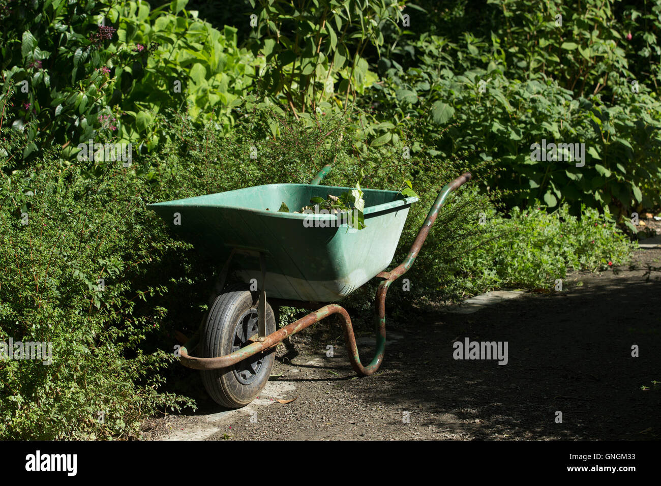 Path and garden border hi-res stock photography and images - Alamy