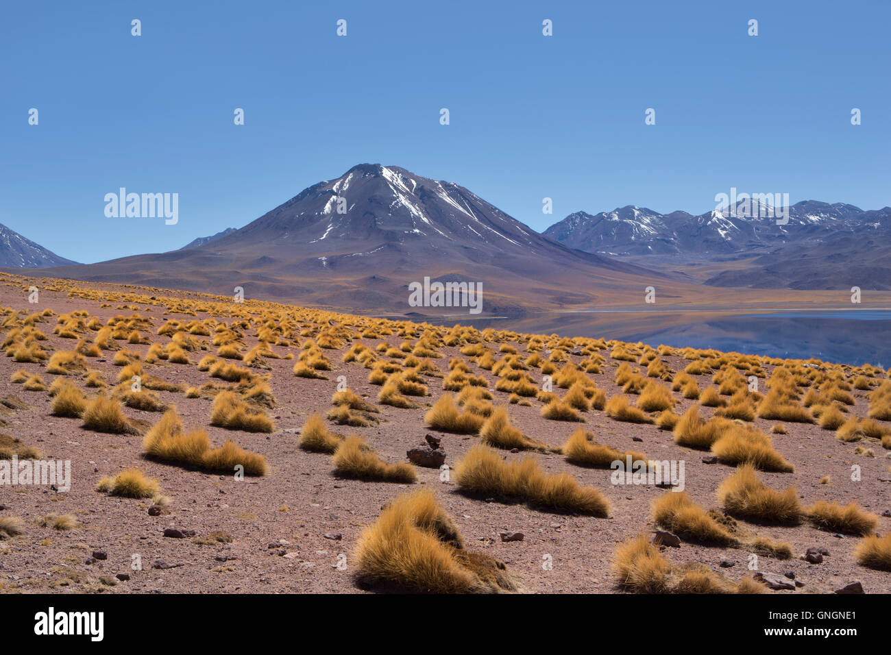 Atacama desert hi-res stock photography and images - Alamy