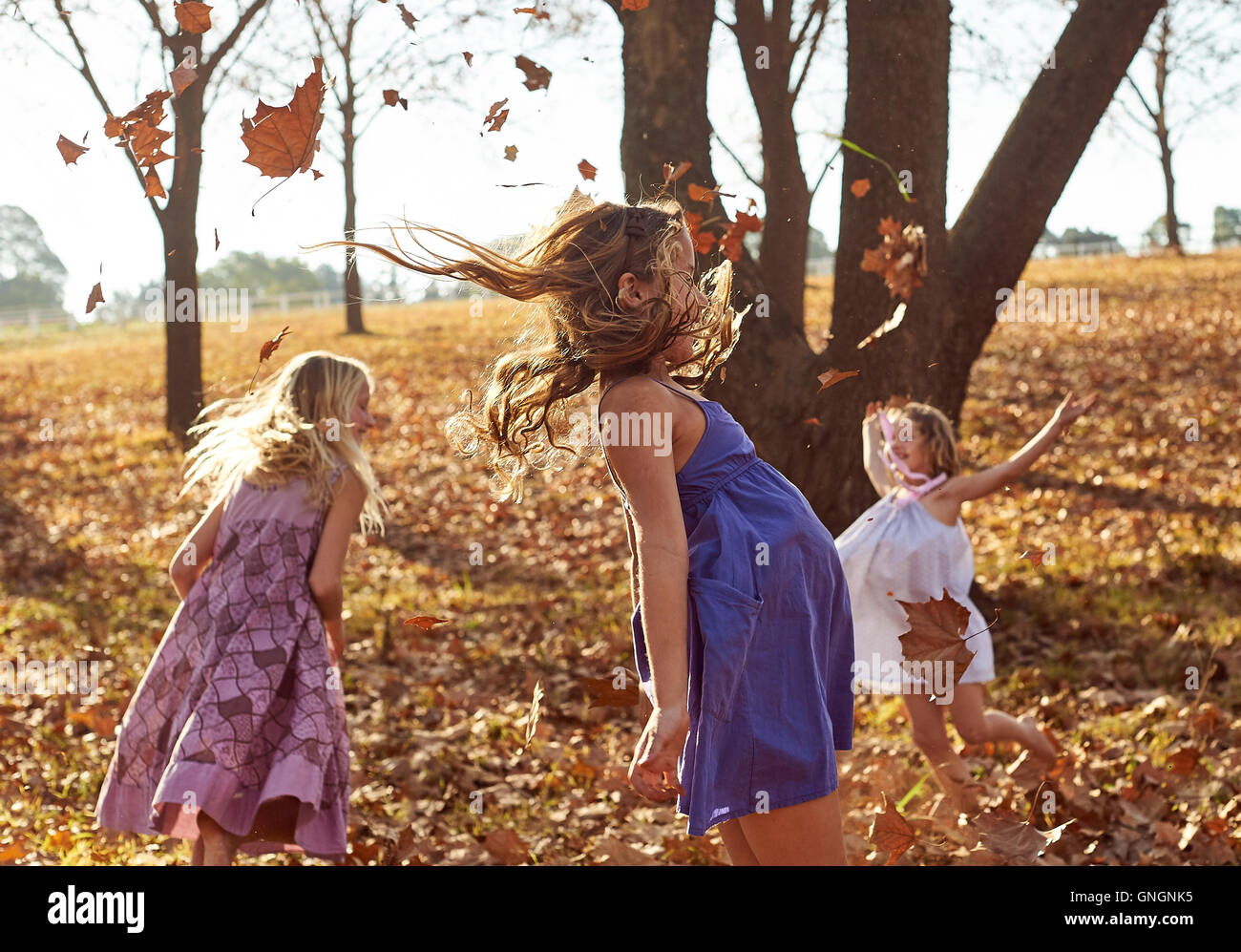 Young girls children kids playing running in fallen autumn leaves Stock ...