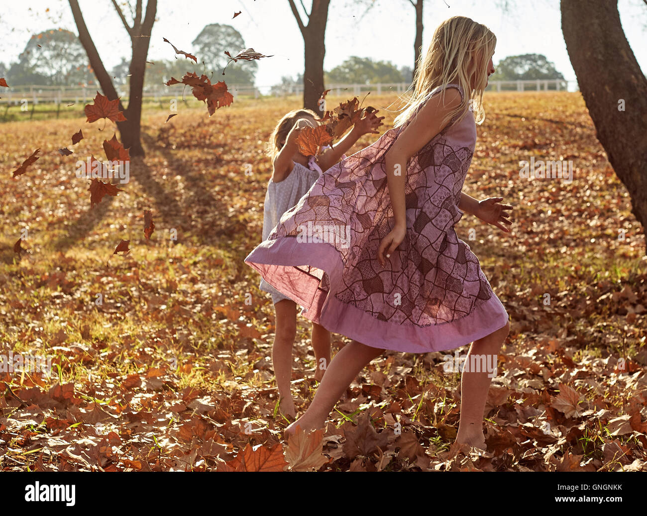 Young girls children kids playing running in fallen autumn leaves Stock ...