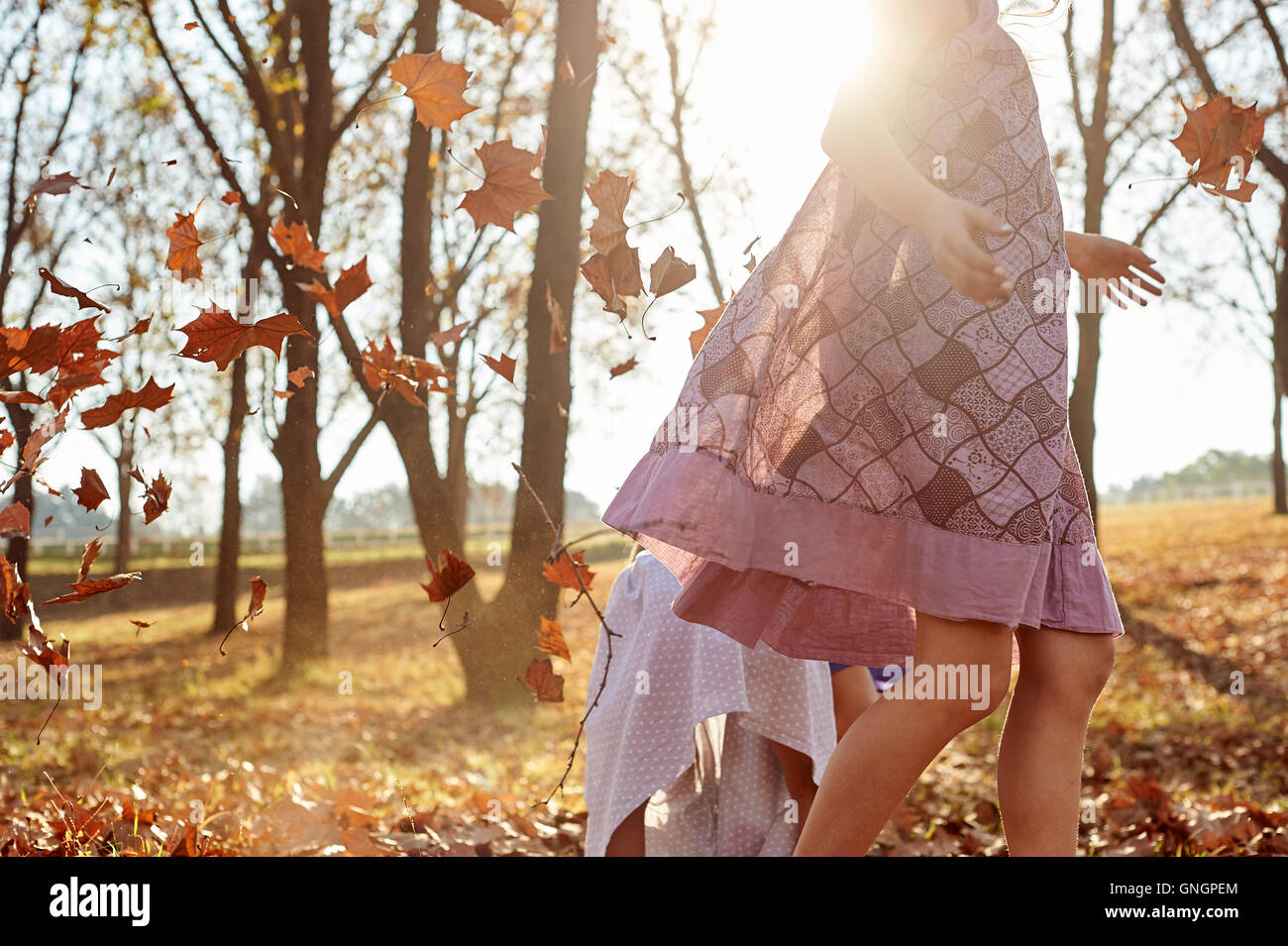 Young girls children kids playing running in fallen autumn leaves Stock ...