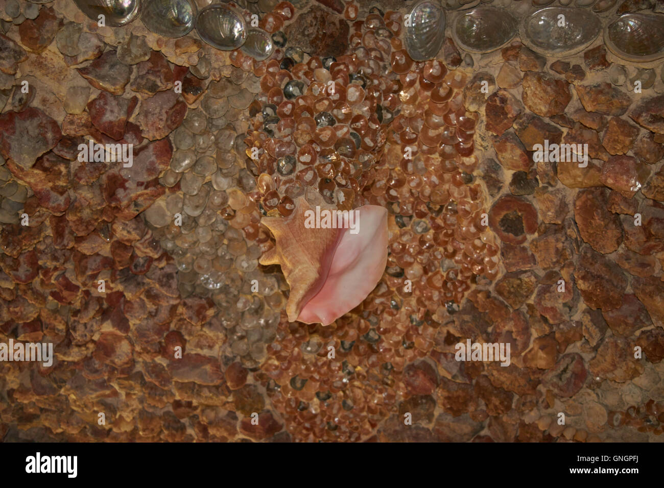 sea shell grotto Stock Photo - Alamy