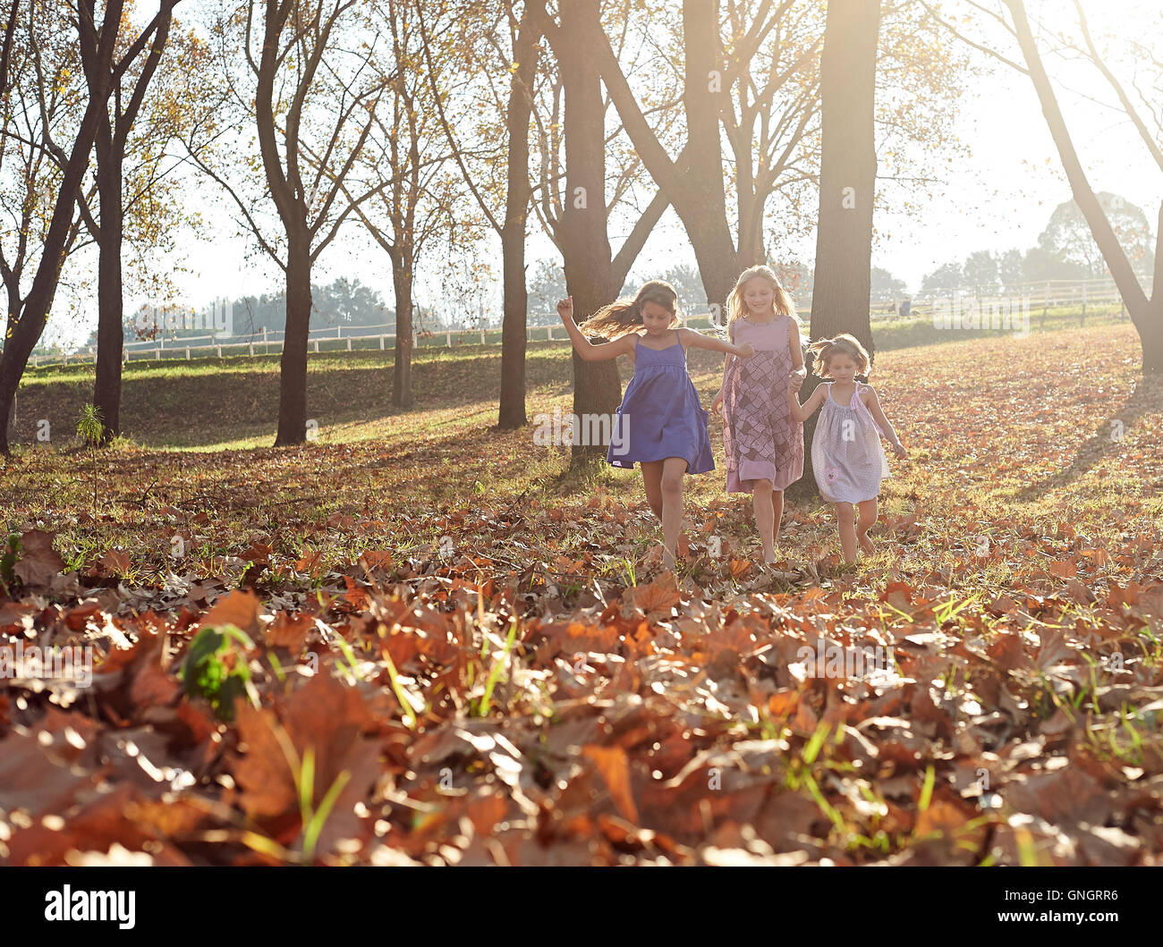 Young girls children kids playing running in fallen autumn leaves Stock ...