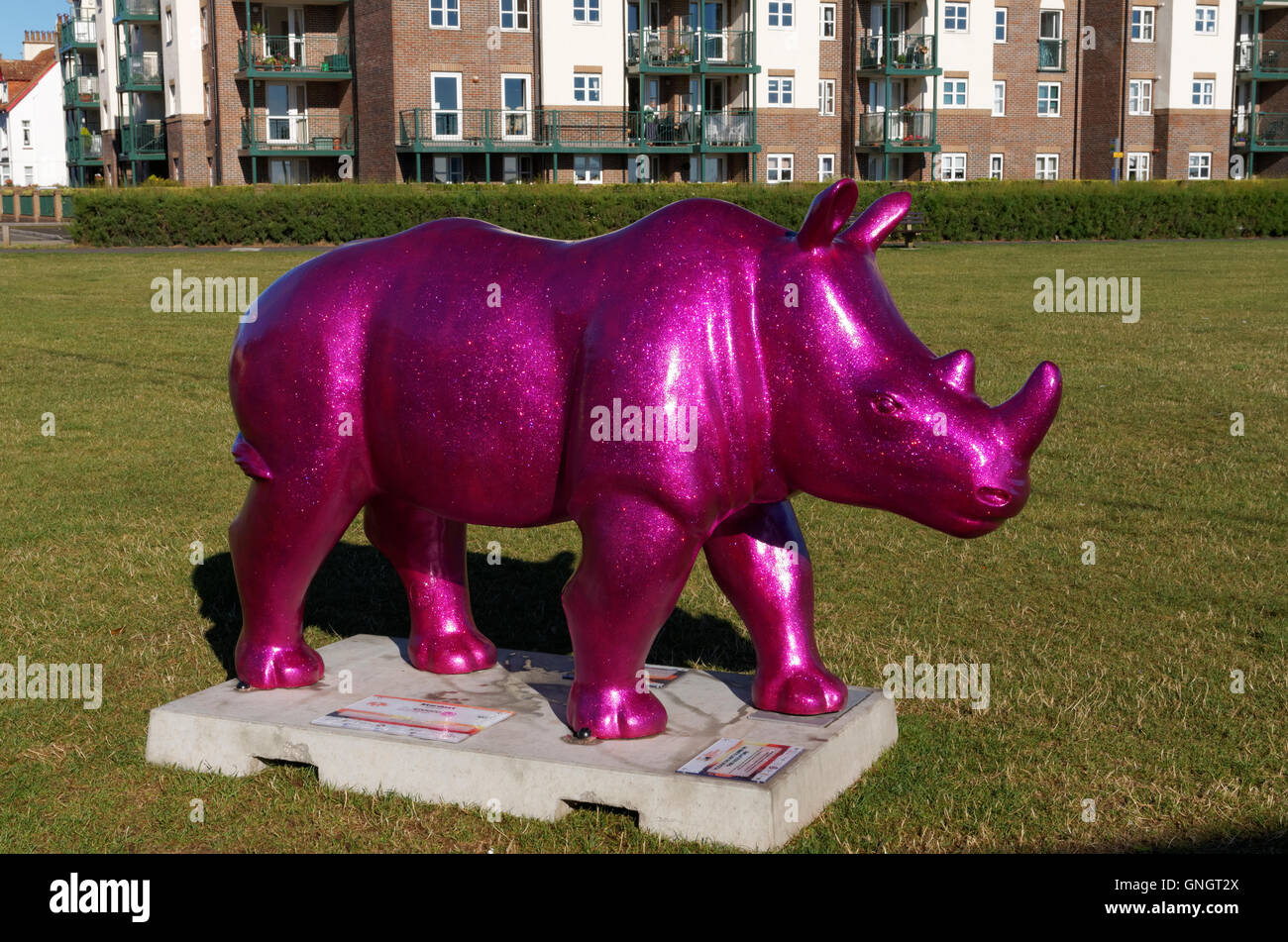 Painted model Rhinos part of the Paignton Zoo's Great Big Rhino Project ...