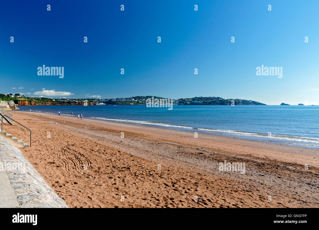 Preston paignton devon uk hi-res stock photography and images - Alamy
