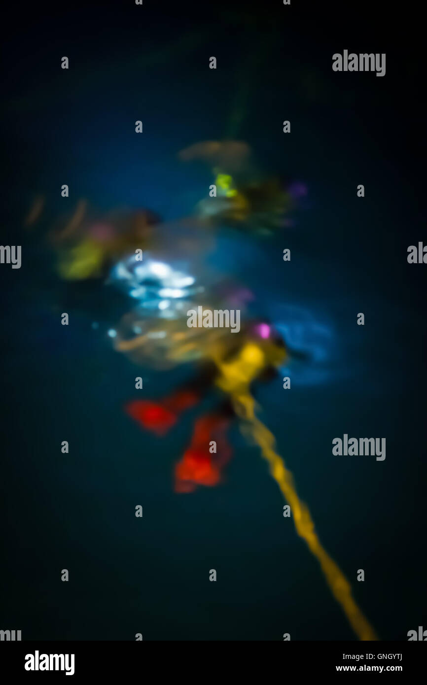 Dive lights hi-res stock photography and images - Alamy