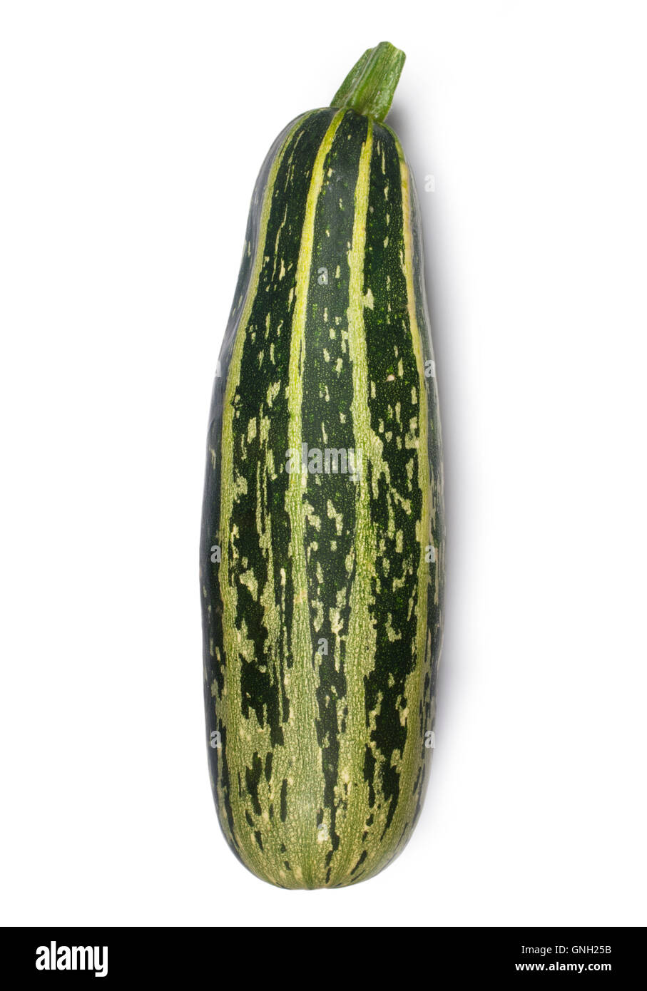 Single marrow hi-res stock photography and images - Alamy