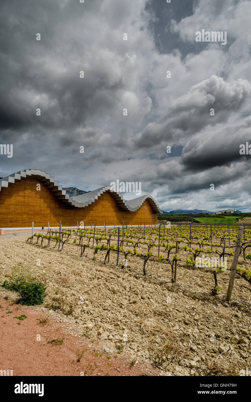 Ysios Winery designed by Santiago Calatrava after last flooding ...