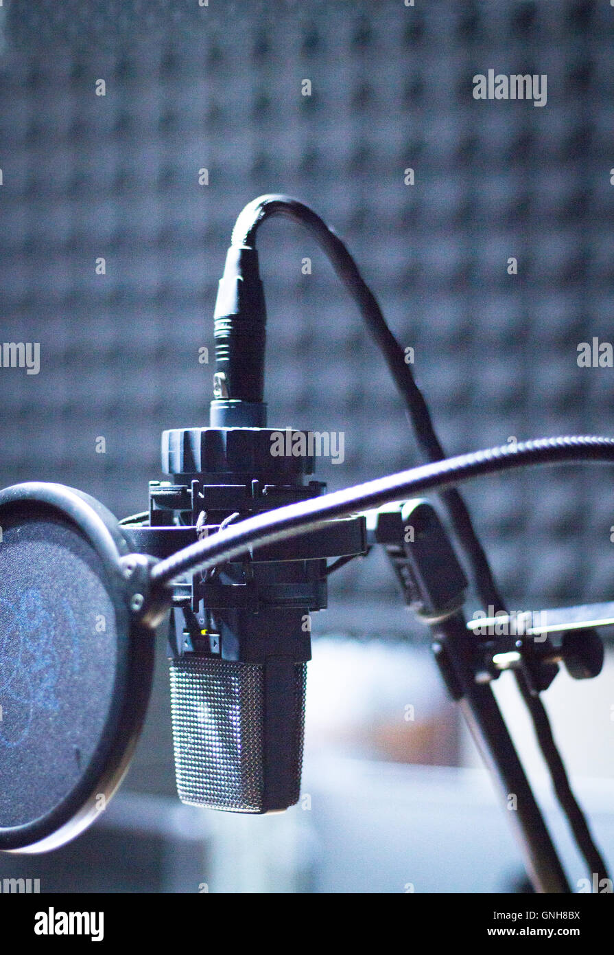 Professional sound recording audio studio microphone and anti pop ...