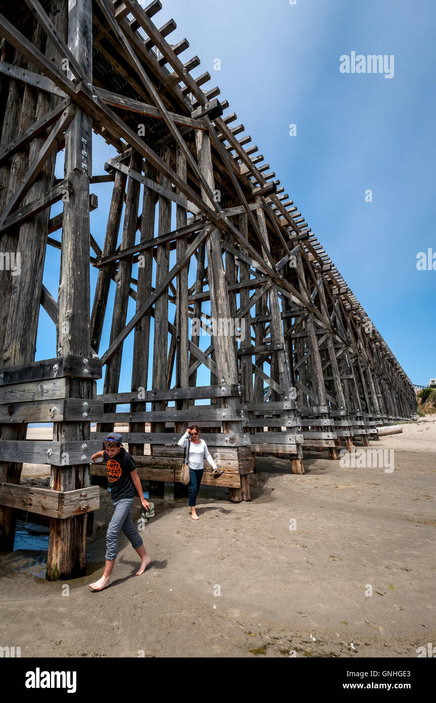 The Pudding Creek Trestle bridge in Fort Bragg California Stock Photo ...