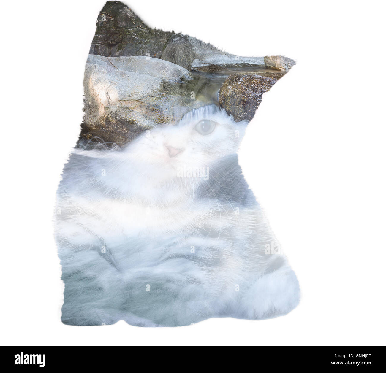 Double exposure face hi-res stock photography and images - Alamy