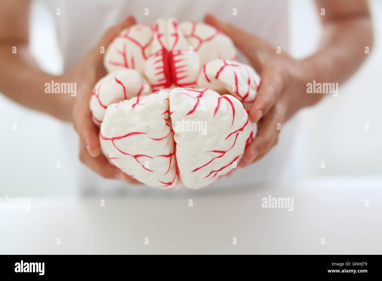 Human brain anatomy structure cerebral hi-res stock photography and ...