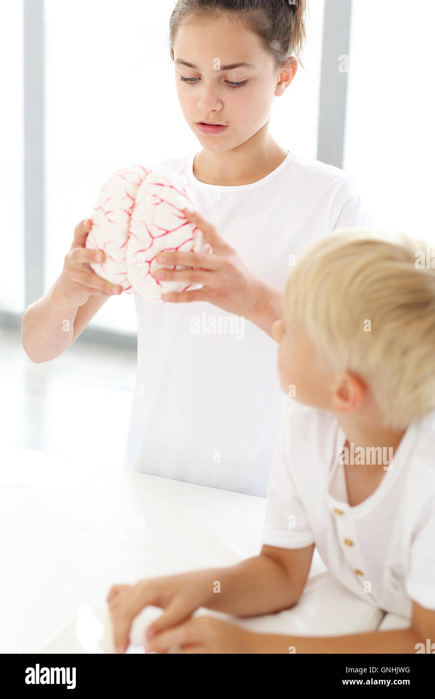 Exercise your brain. Child holds in his hands a model of the human ...