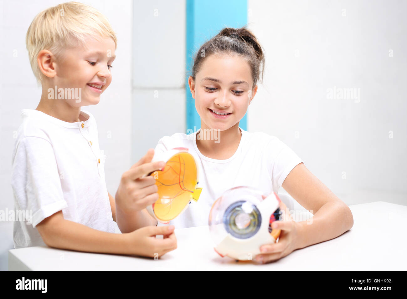 The construction of the eye. How is made eye Stock Photo - Alamy