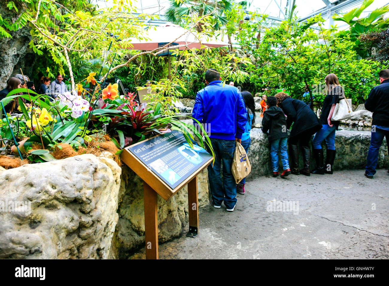 People in the tropical butterfly section of the Tennessee Aquarium in ...