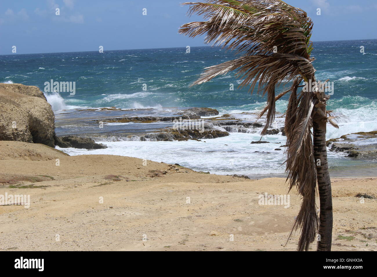 Little bay barbados hi-res stock photography and images - Alamy