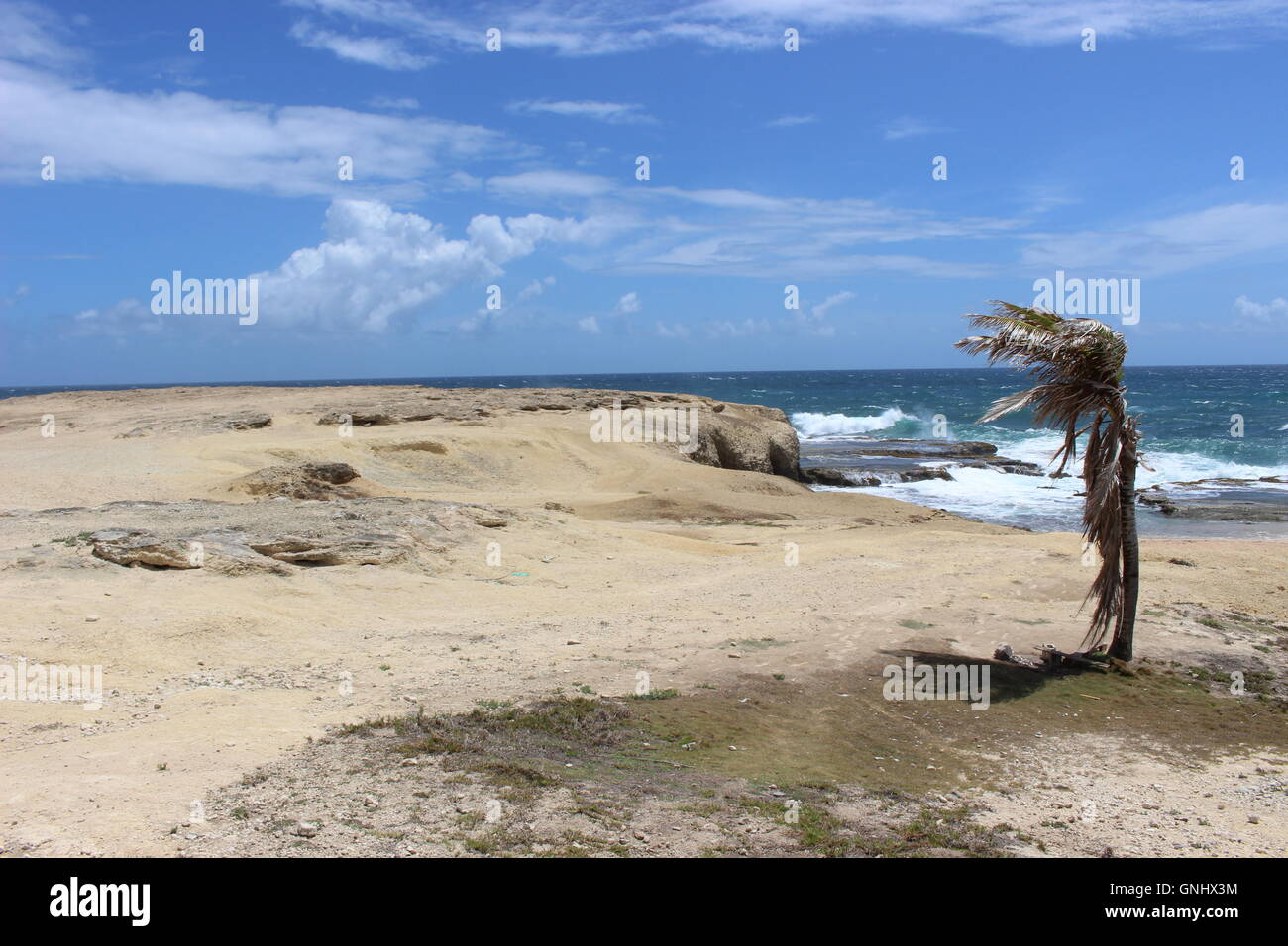 Little Bay in Barbados, Caribbean Stock Photo - Alamy