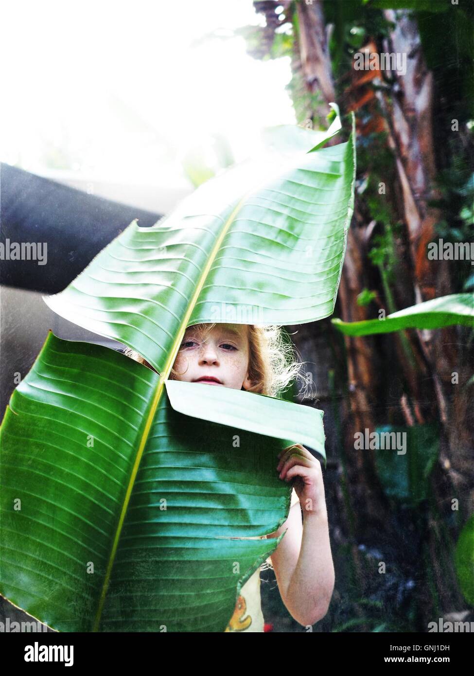 Girl looking through leaf Stock Photo - Alamy