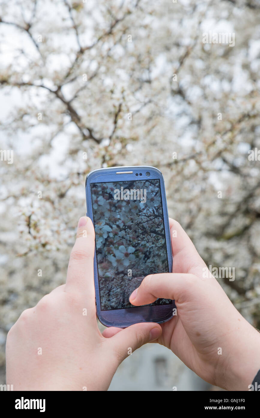 Boy taking a photo with mobile phone Stock Photo - Alamy