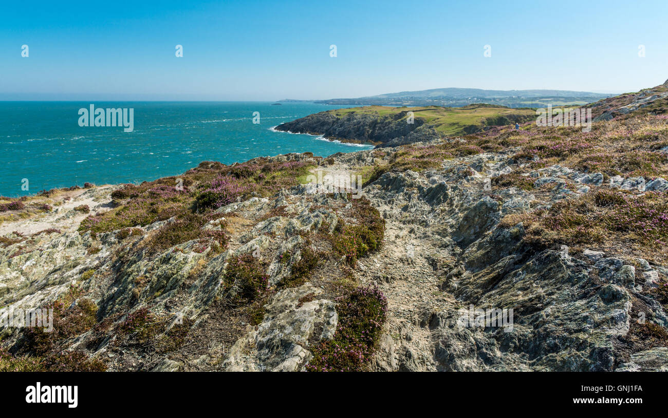 Bull bay anglesey hi-res stock photography and images - Alamy