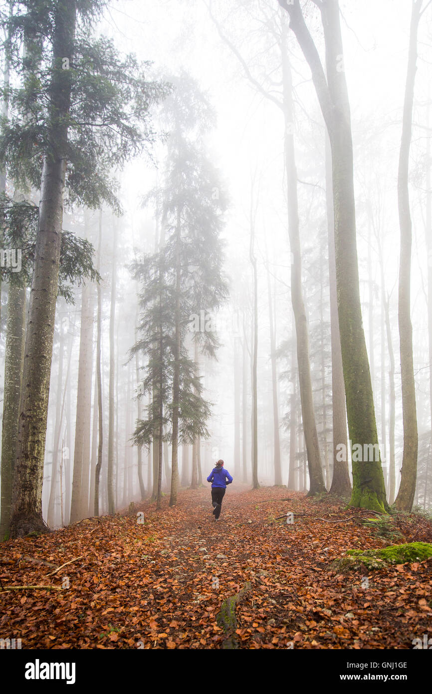 Autumn fall foliage runner hi-res stock photography and images - Alamy