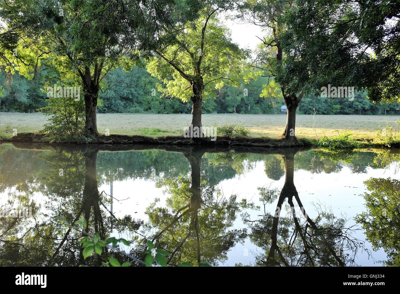 The three trees hi-res stock photography and images - Alamy