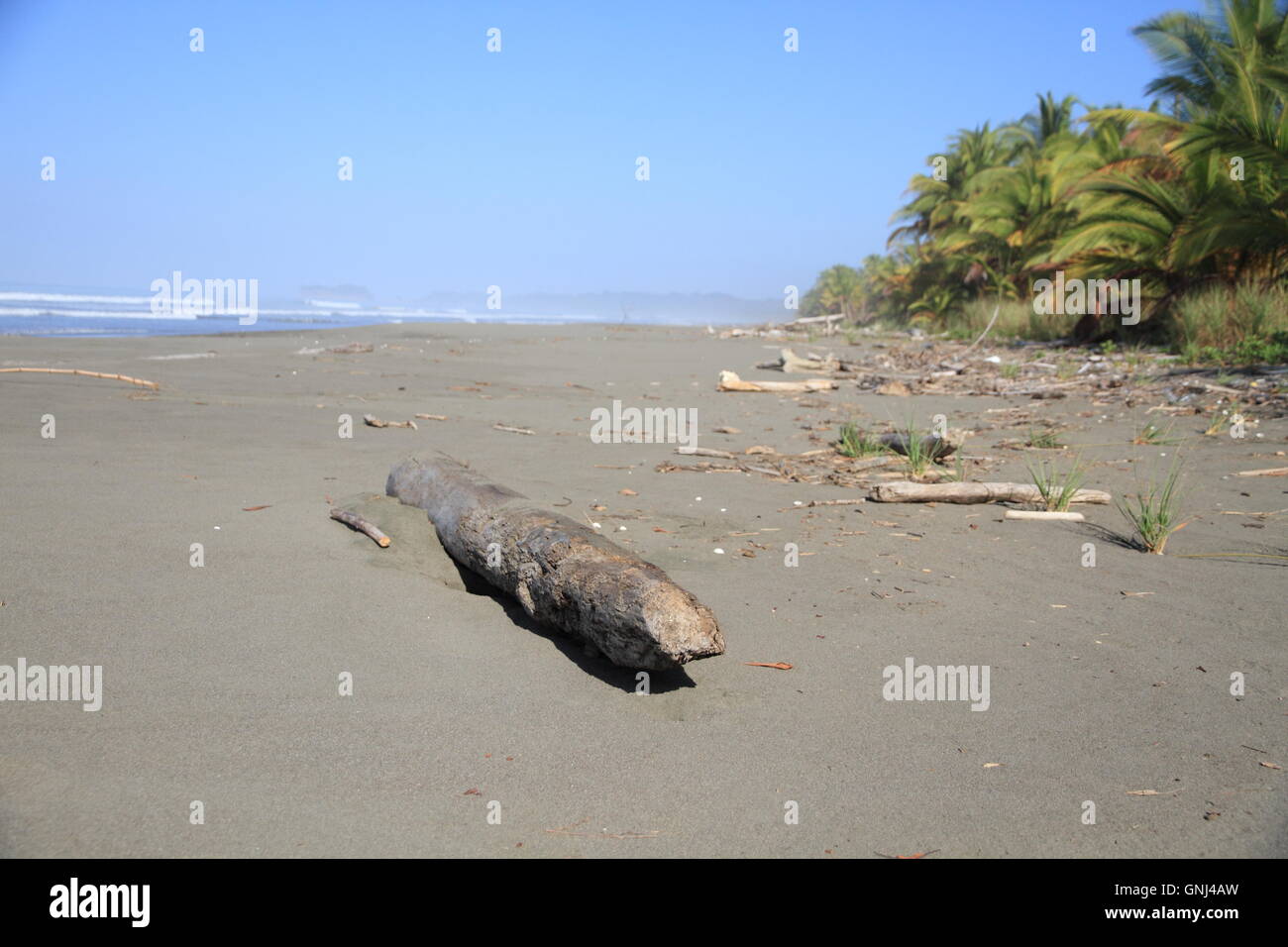 Rey olas hi-res stock photography and images - Alamy