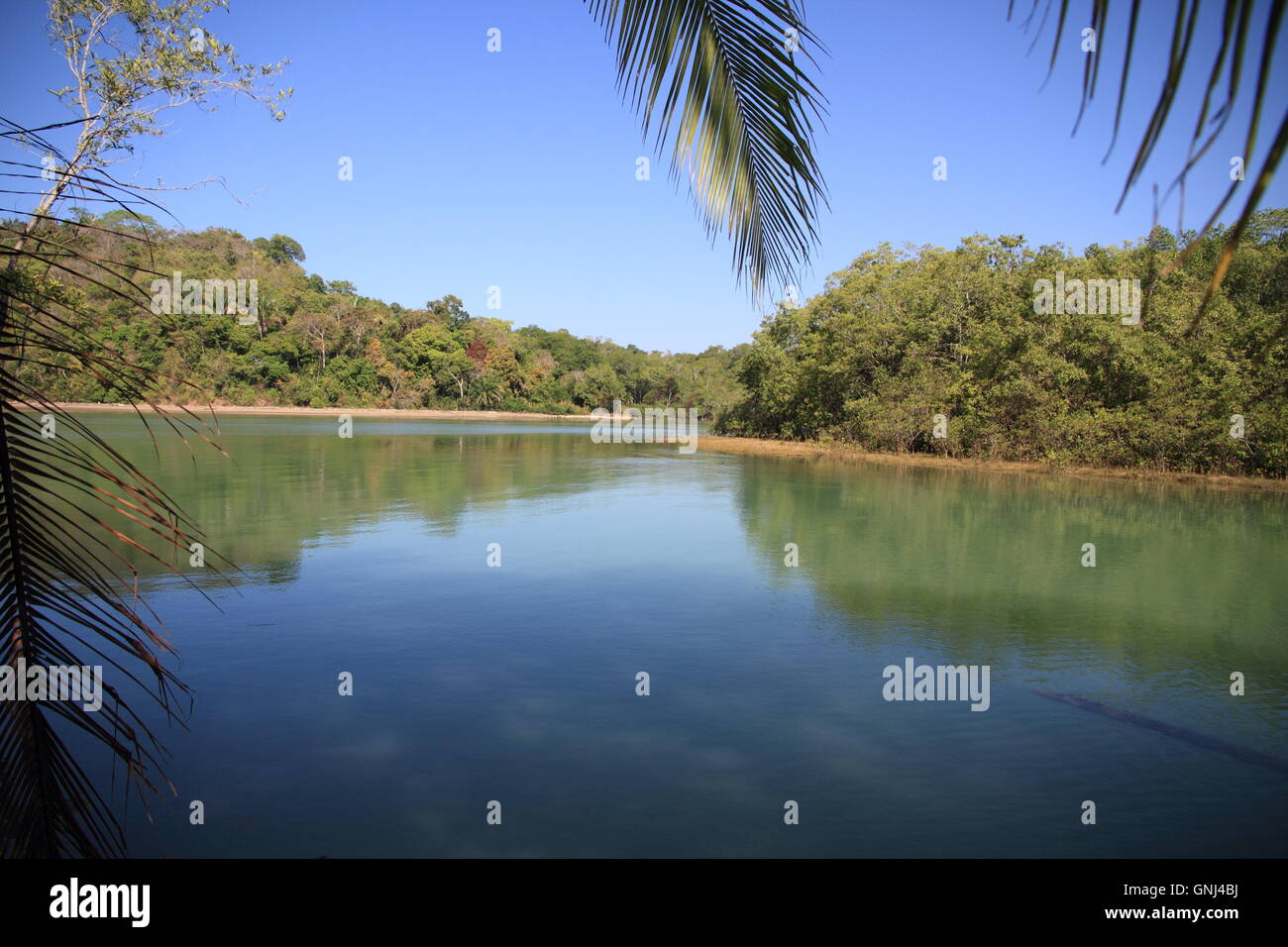 The river mouth and mangroves of the Rio Naranjo near Manuel Antonio ...