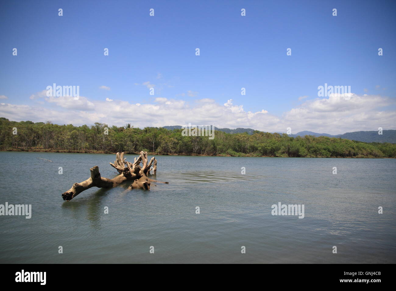 The river mouth and mangroves of the Rio Naranjo near Manuel Antonio ...
