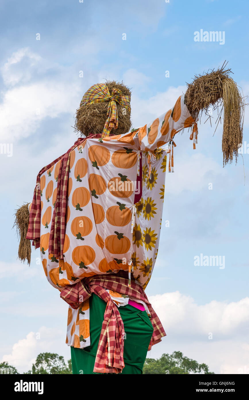 Straw scarecrow in rice field hi-res stock photography and images - Alamy