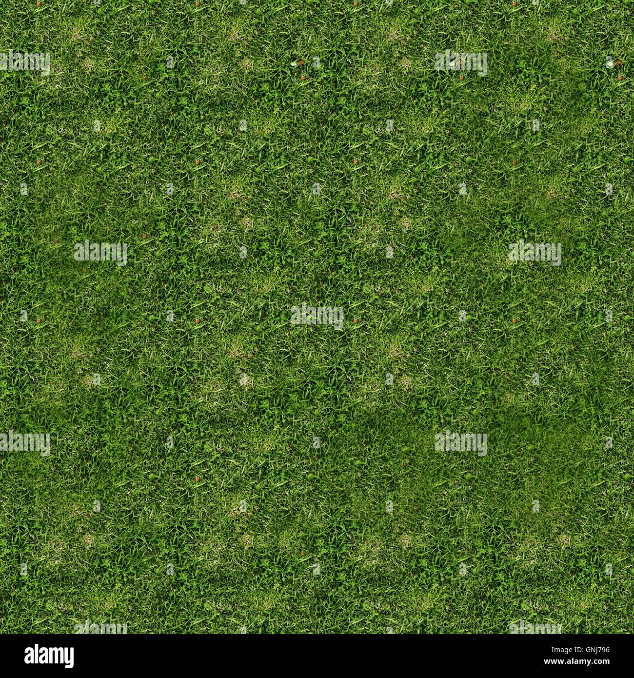 Seamless grass texture hi-res stock photography and images - Alamy