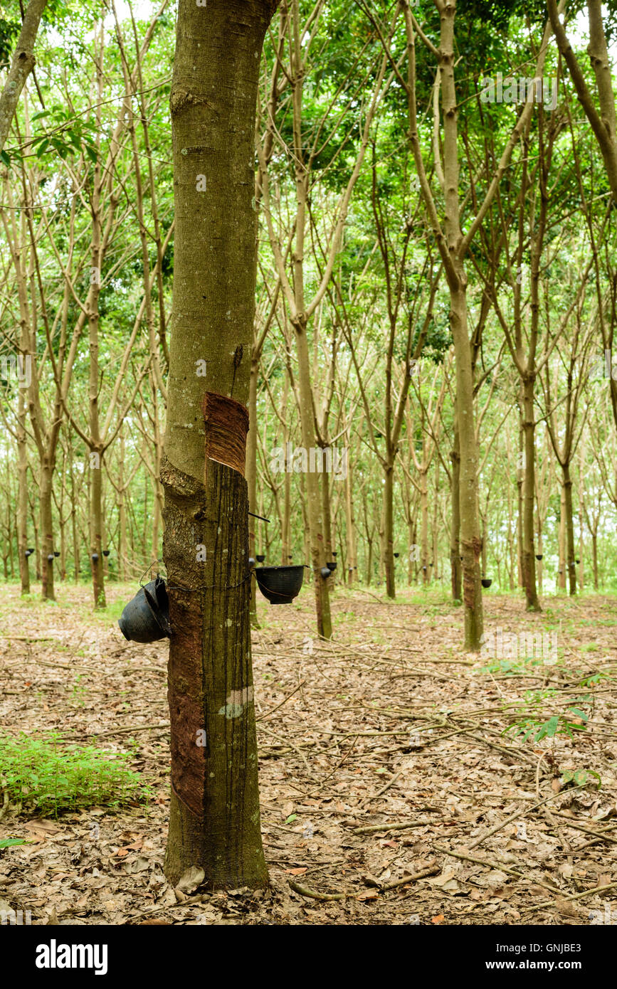 Para industrial hi-res stock photography and images - Alamy