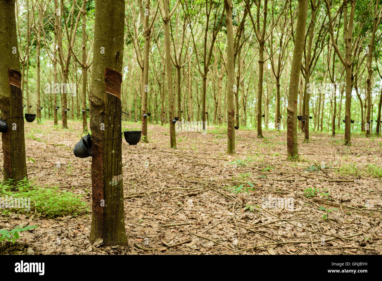 Para industrial hi-res stock photography and images - Alamy