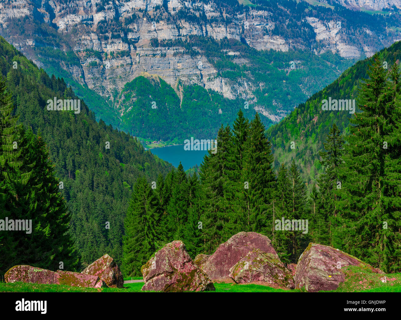 Sunny forest scene rocks hi-res stock photography and images - Alamy